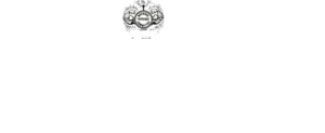 Southern Muscle Showdown | Bodybuilding Show